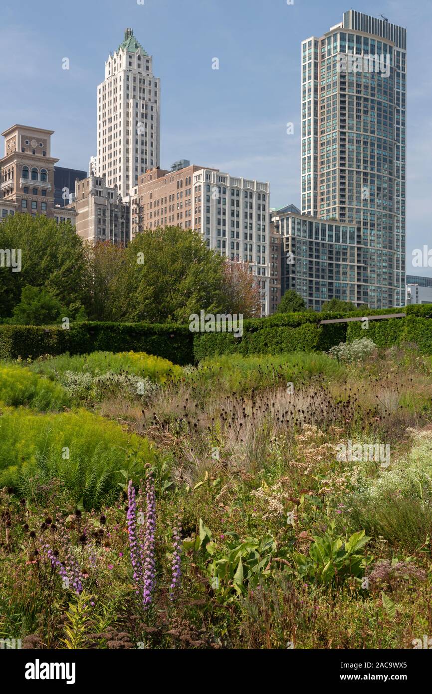 Lurie Garden, Millennium Park, The Loop, Chicago, Illinois, USA Stock ...