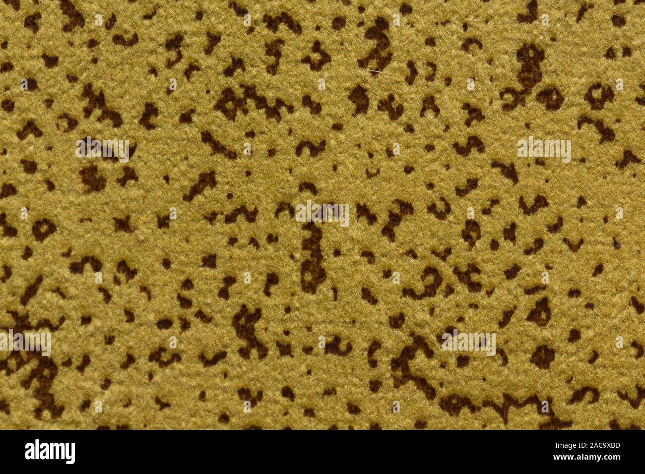 Beautiful fabric texture in sandy colour. High quality texture in ...