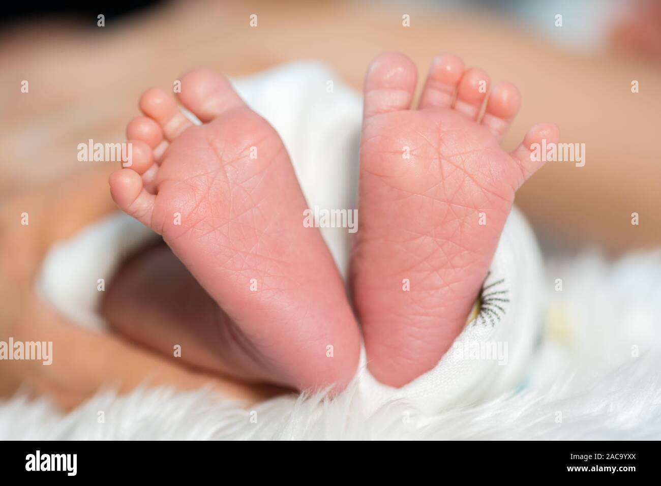 cloe up feet of little newborn baby Stock Photo - Alamy