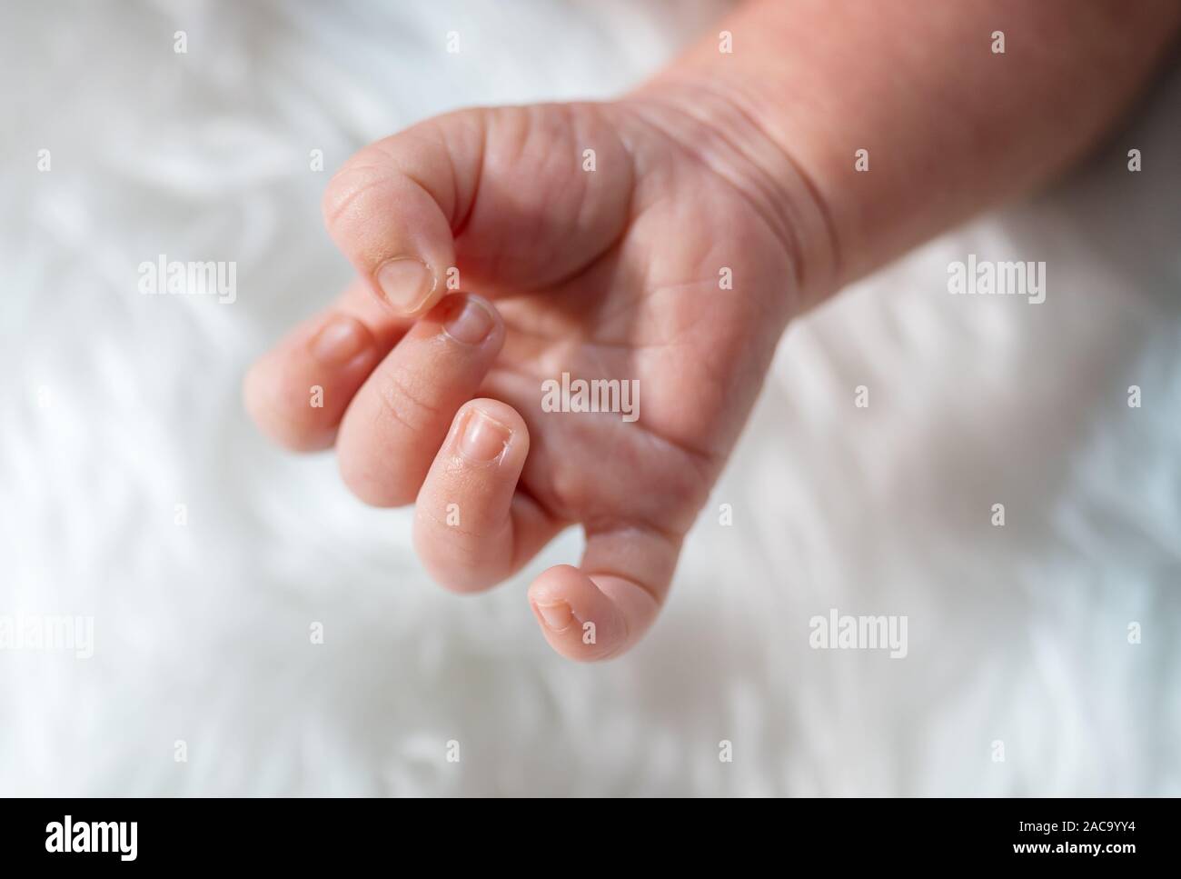 close up hand of newborn baby Stock Photo - Alamy
