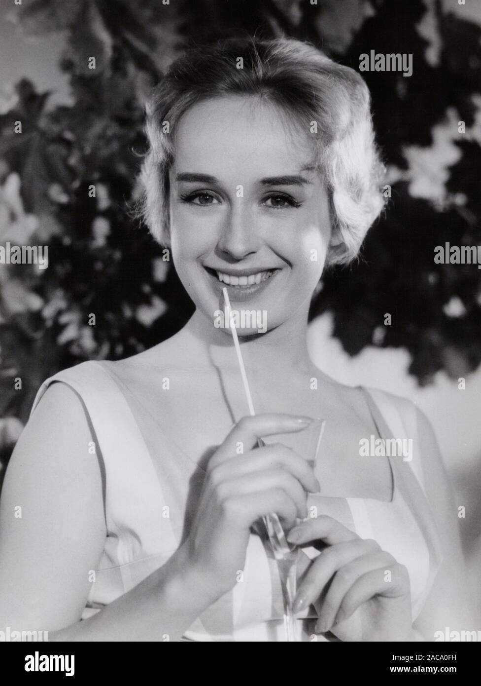 Danny Mann Voice Actor