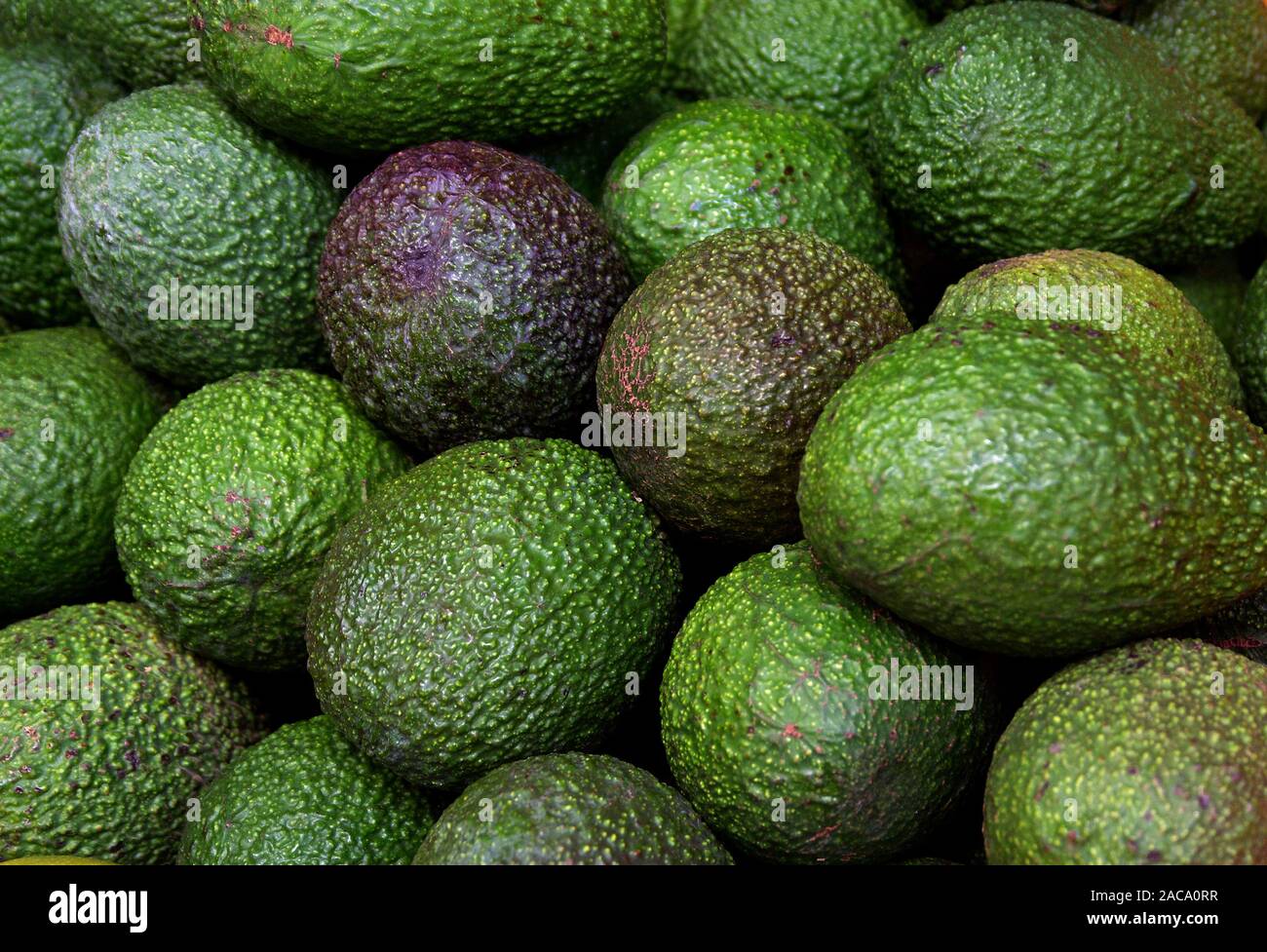 Flowering avocado hi-res stock photography and images - Alamy