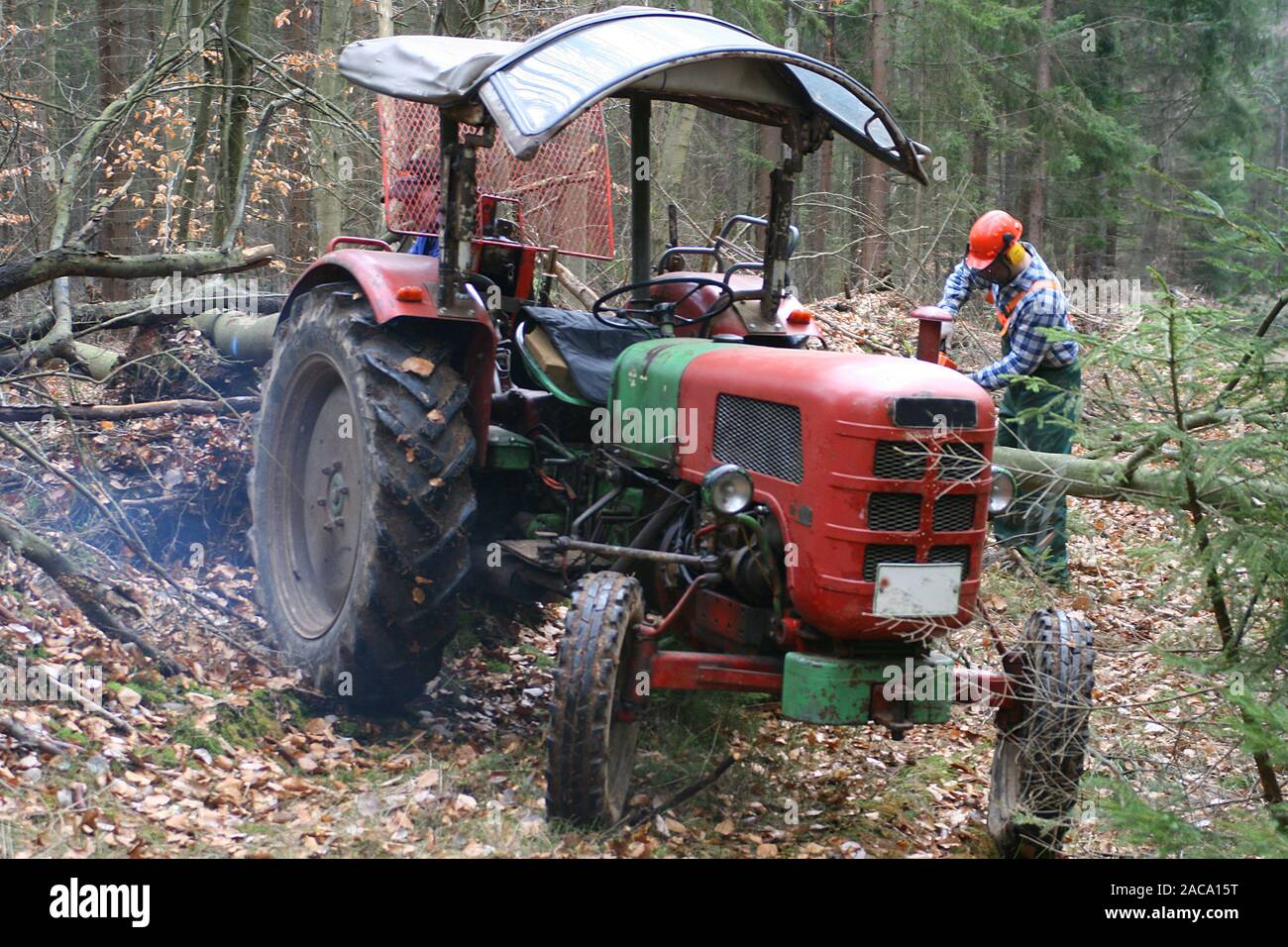 Forest work with tractor Stock Photo - Alamy
