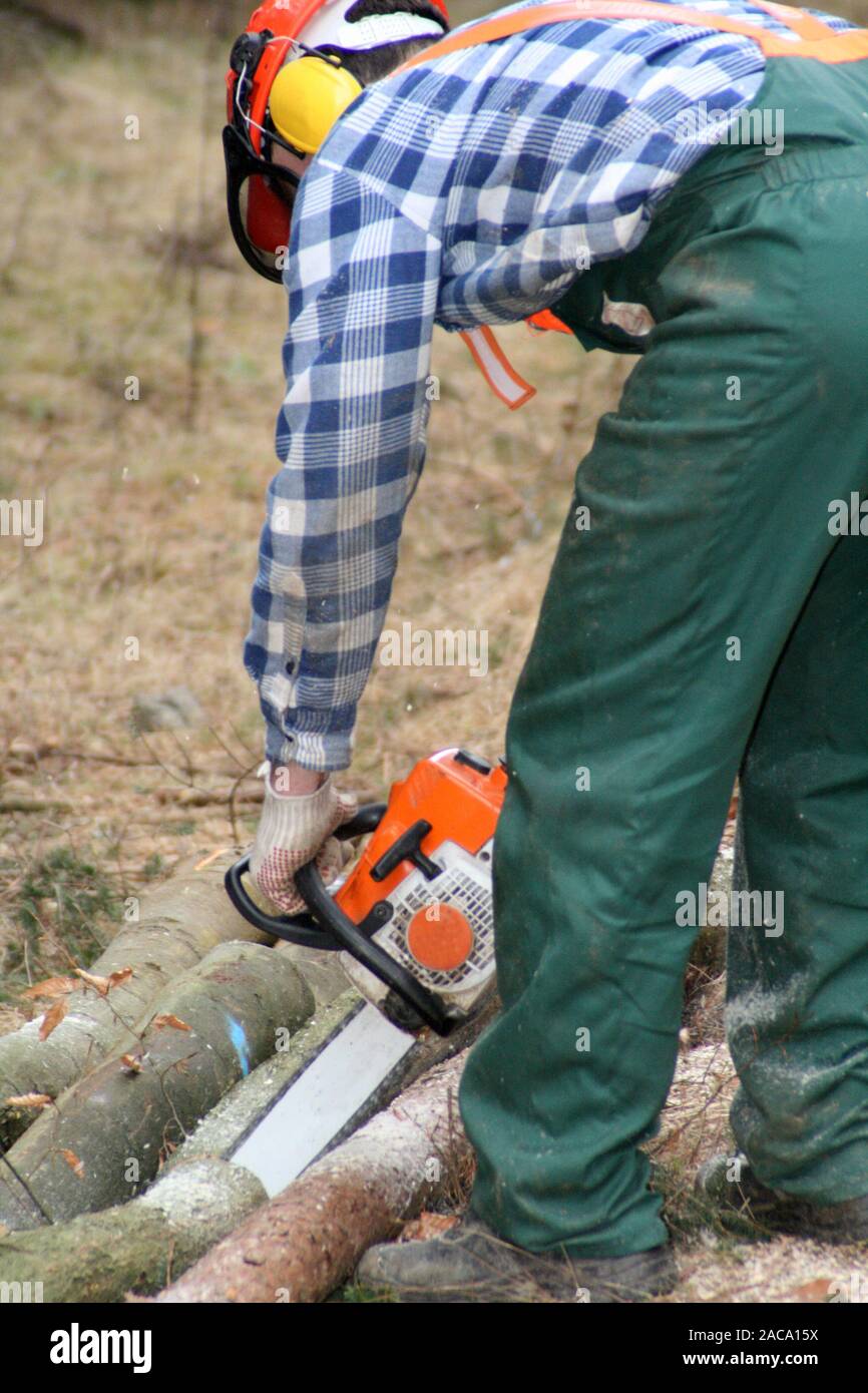 Forestry workers hi-res stock photography and images - Alamy