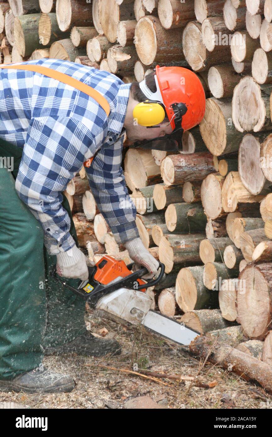 Chainsaw workers hi-res stock photography and images - Alamy