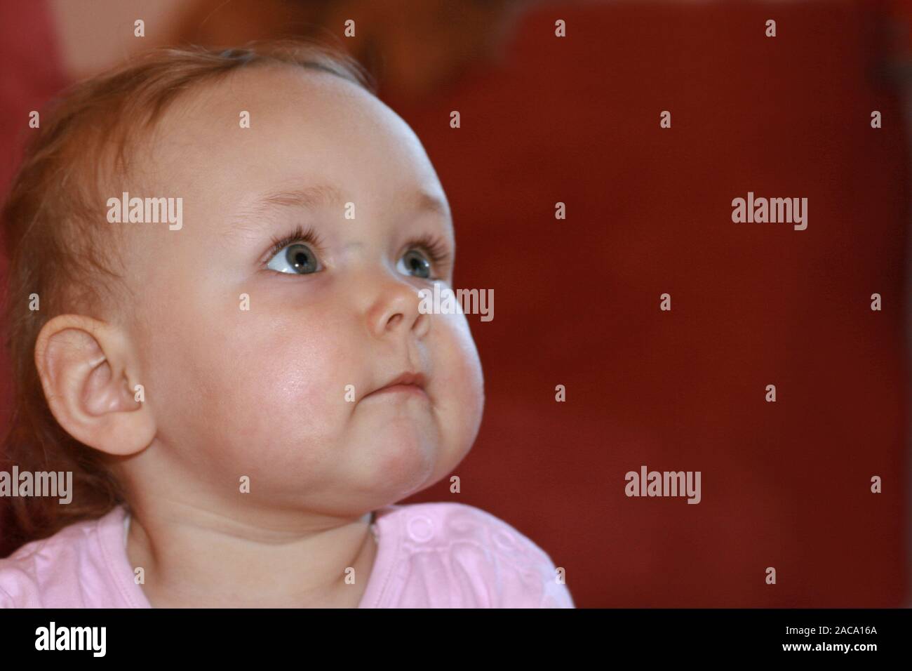 Suckers hi-res stock photography and images - Alamy