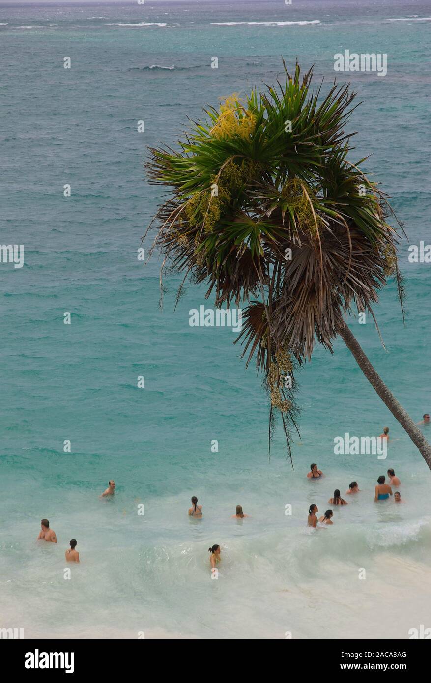 Swimming in the caribbean hi-res stock photography and images - Alamy