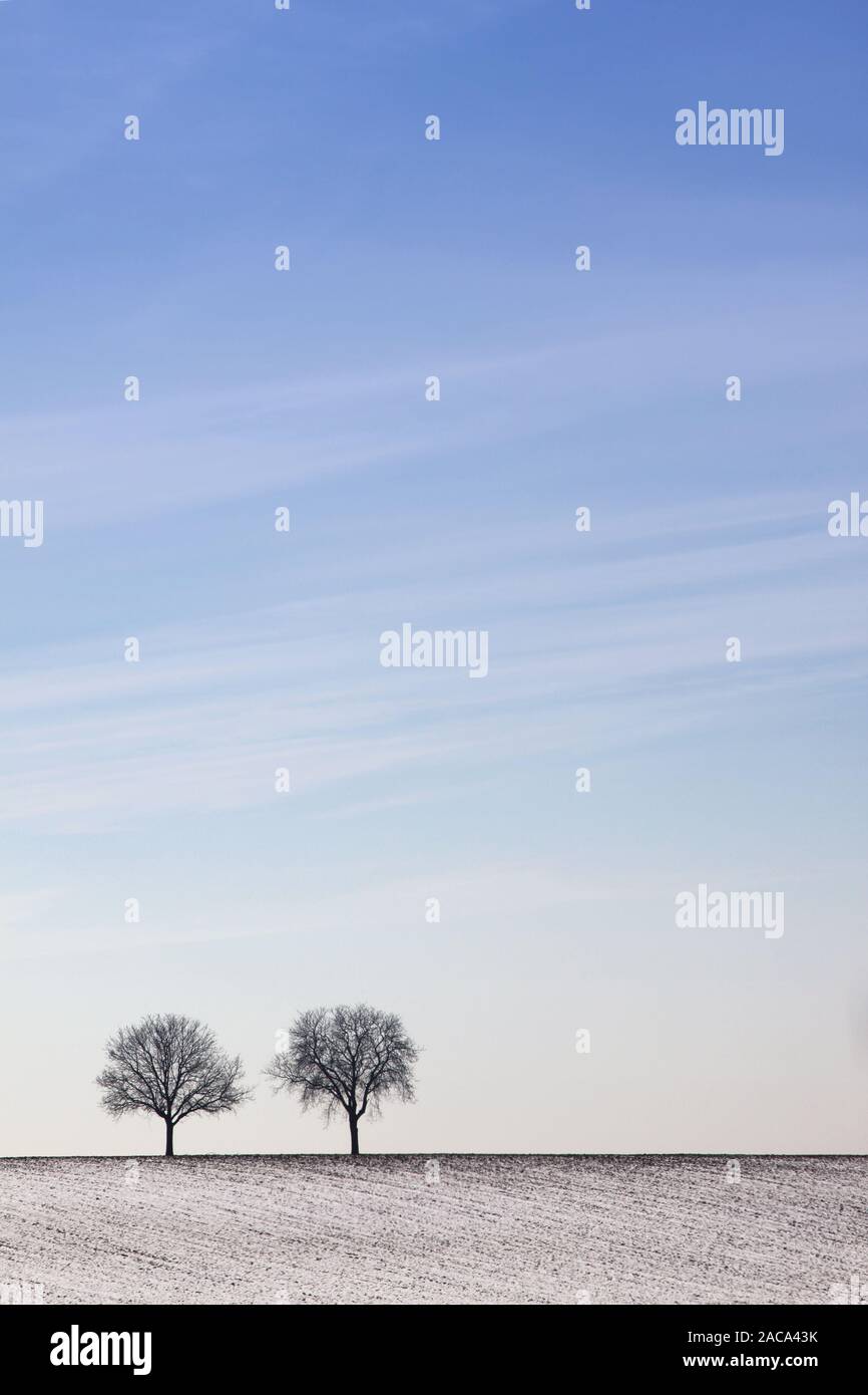 Trees pair hi-res stock photography and images - Alamy