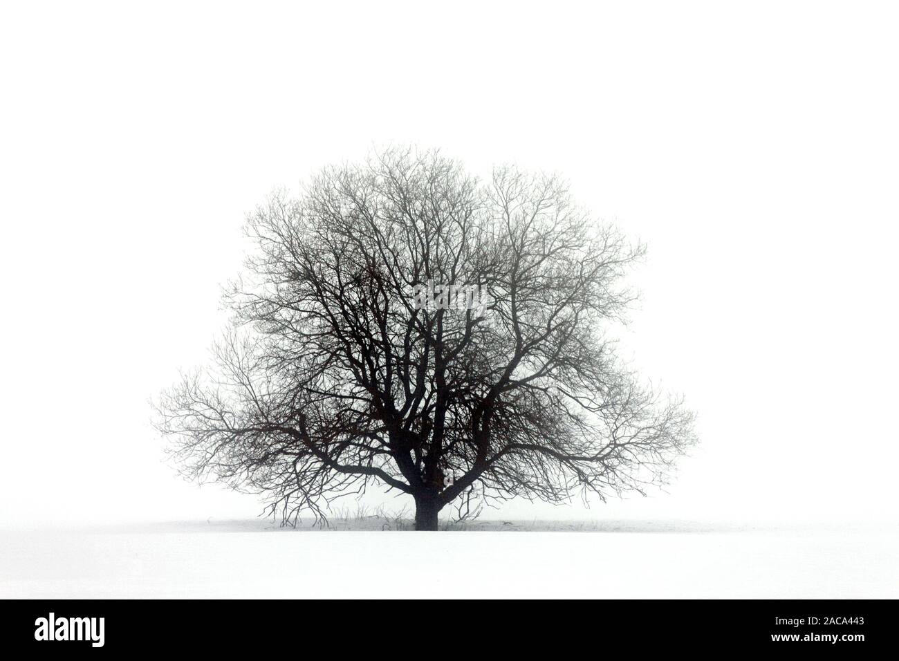 To fog Cut Out Stock Images & Pictures - Alamy