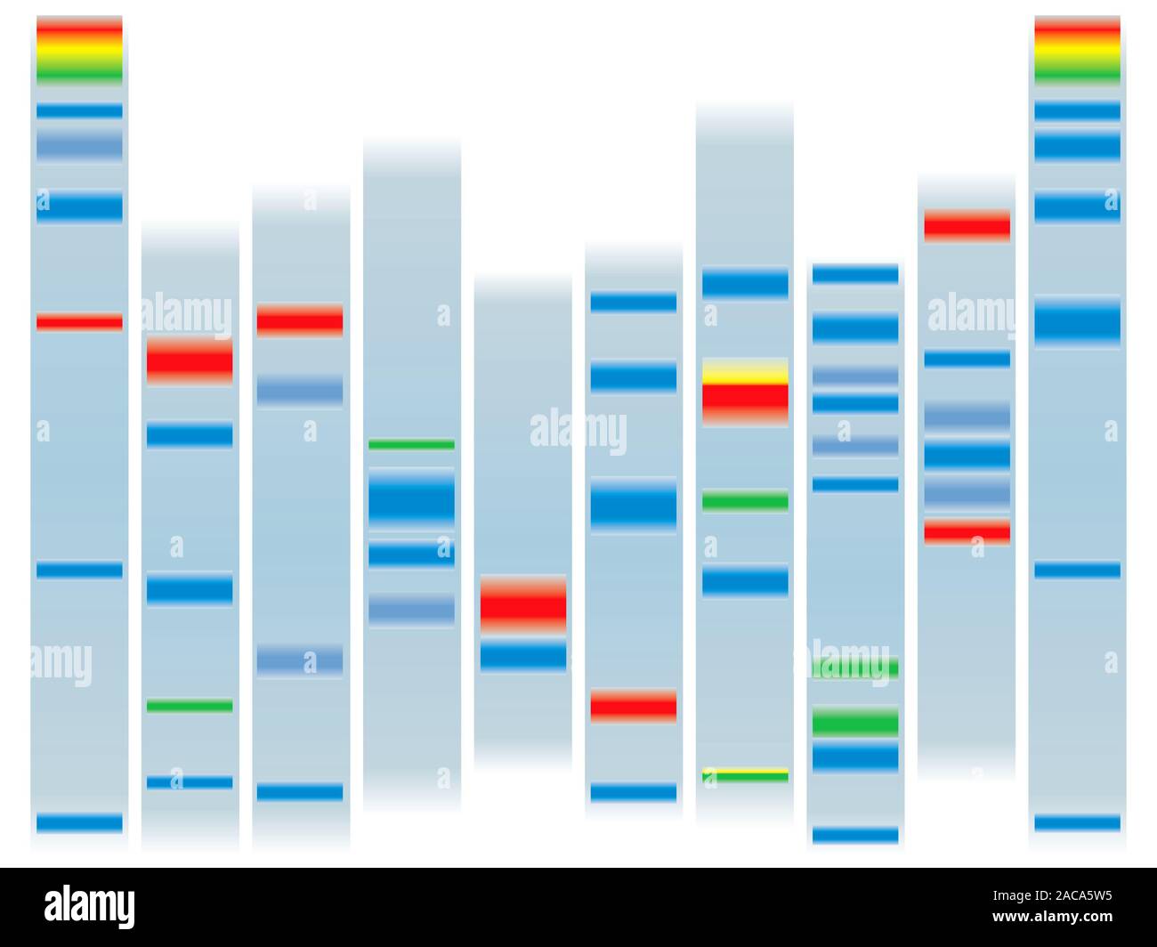 Dna evidence Cut Out Stock Images & Pictures - Alamy