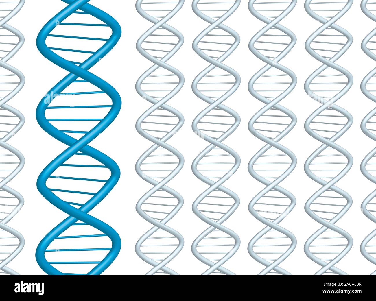 Chromosome defect hi-res stock photography and images - Alamy