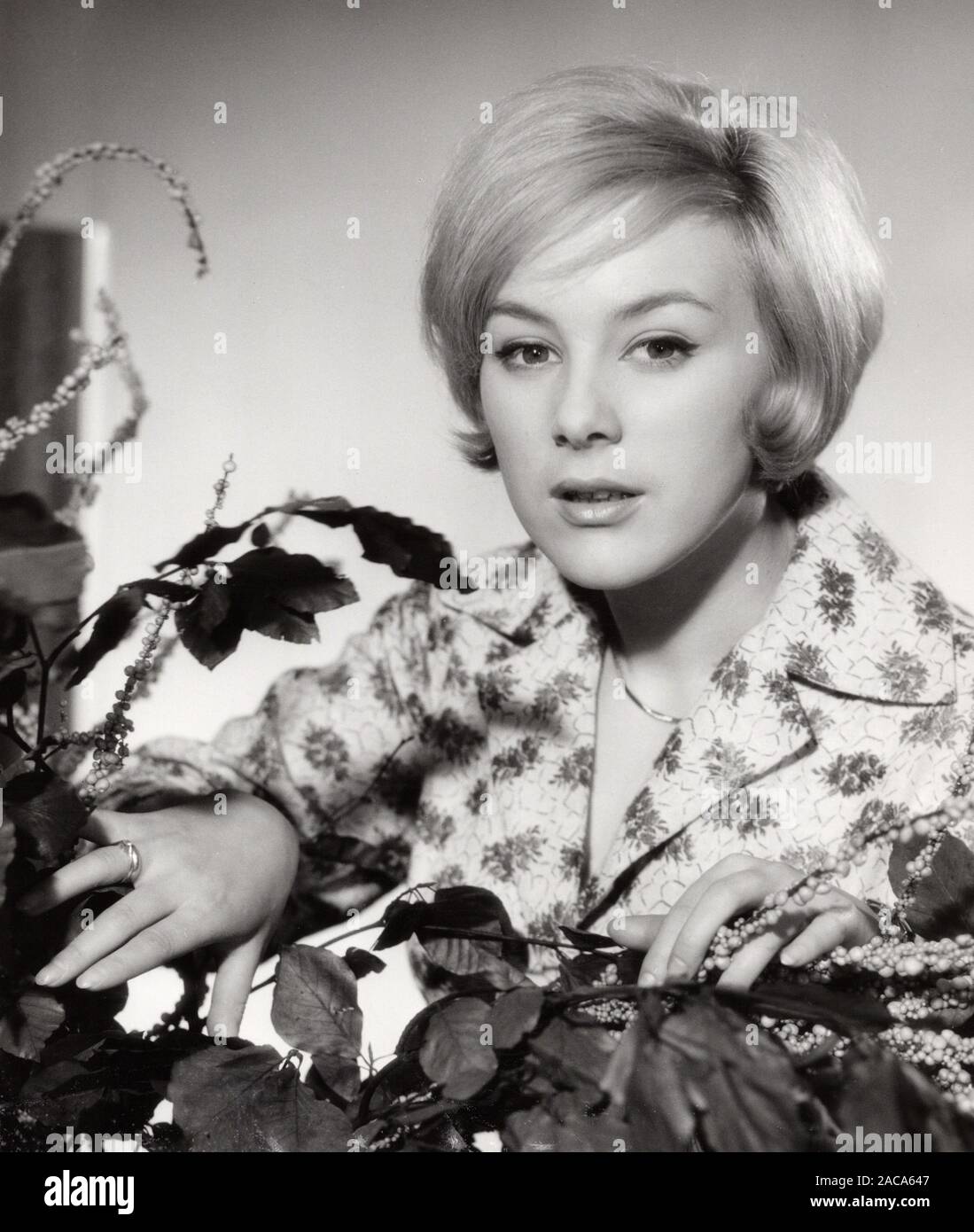 Heidelinde Weis Stock Photos & Heidelinde Weis Stock Images - Alamy