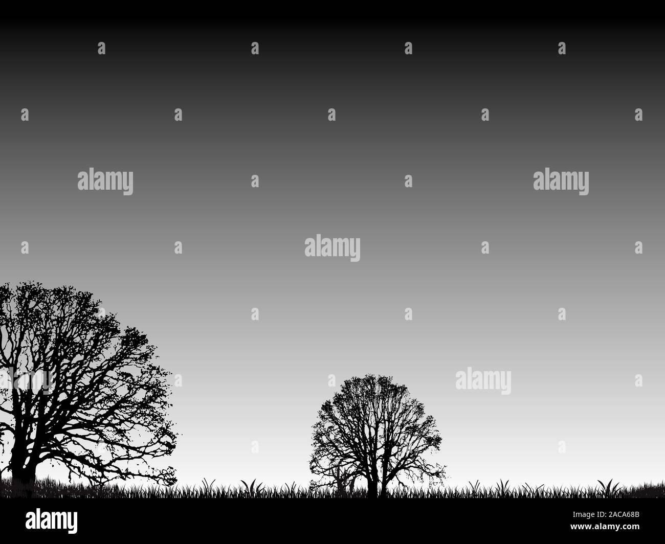 extra trees gradient Stock Photo - Alamy