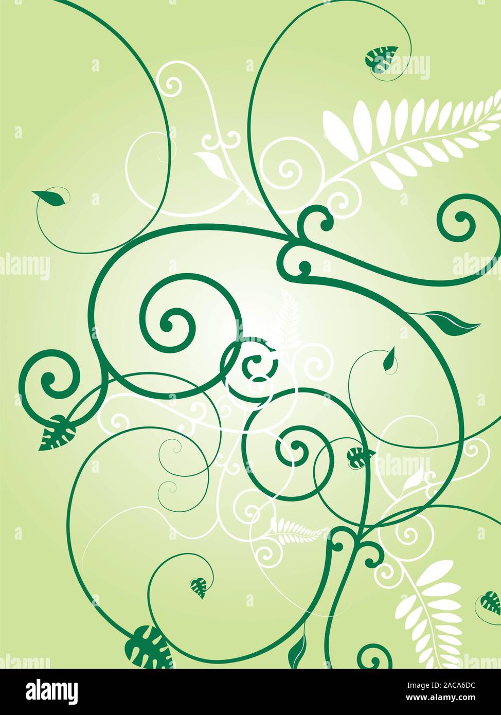 Floral burst hi-res stock photography and images - Alamy