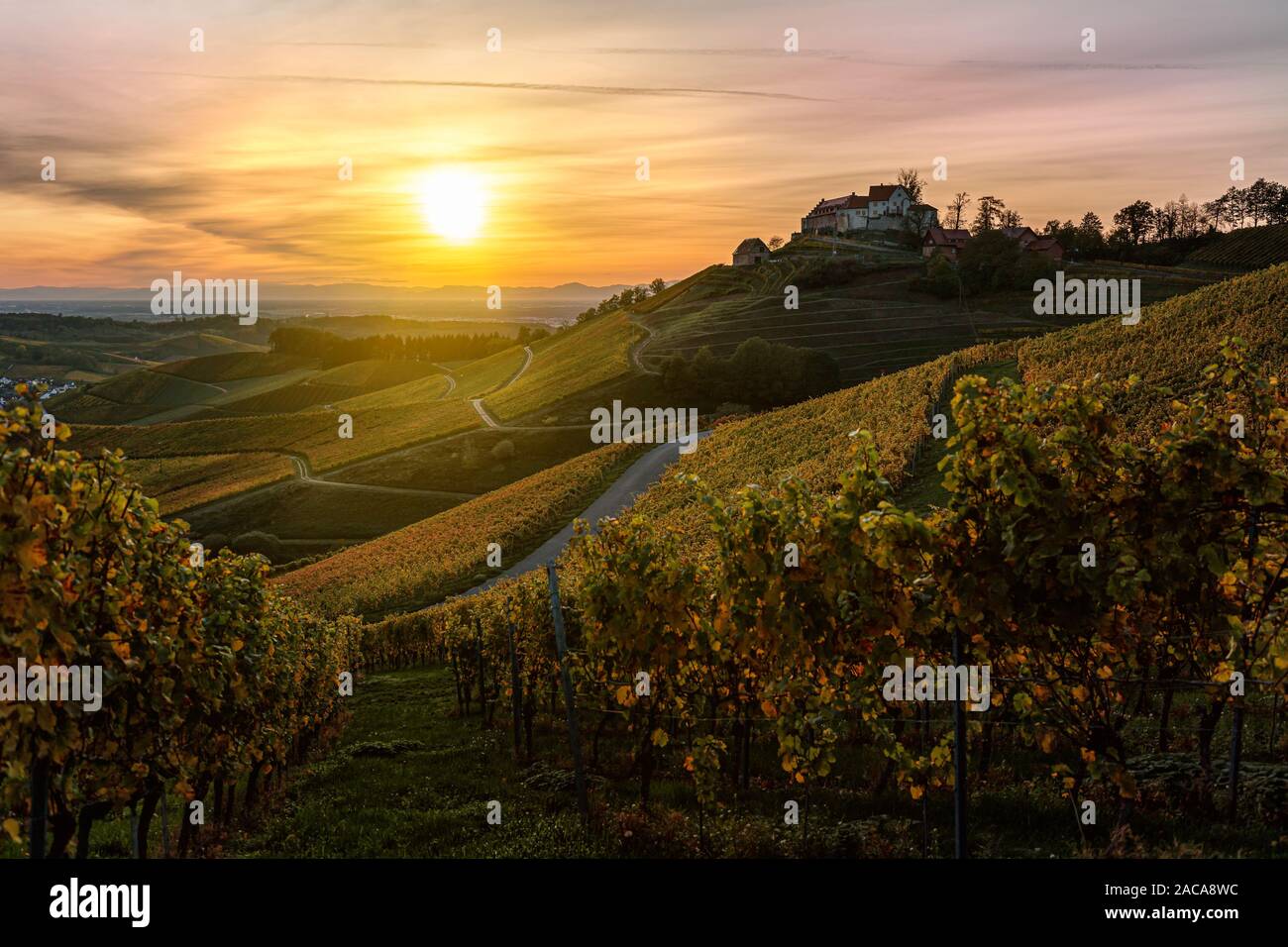Staufenberg castle vineyard hi-res stock photography and images - Alamy