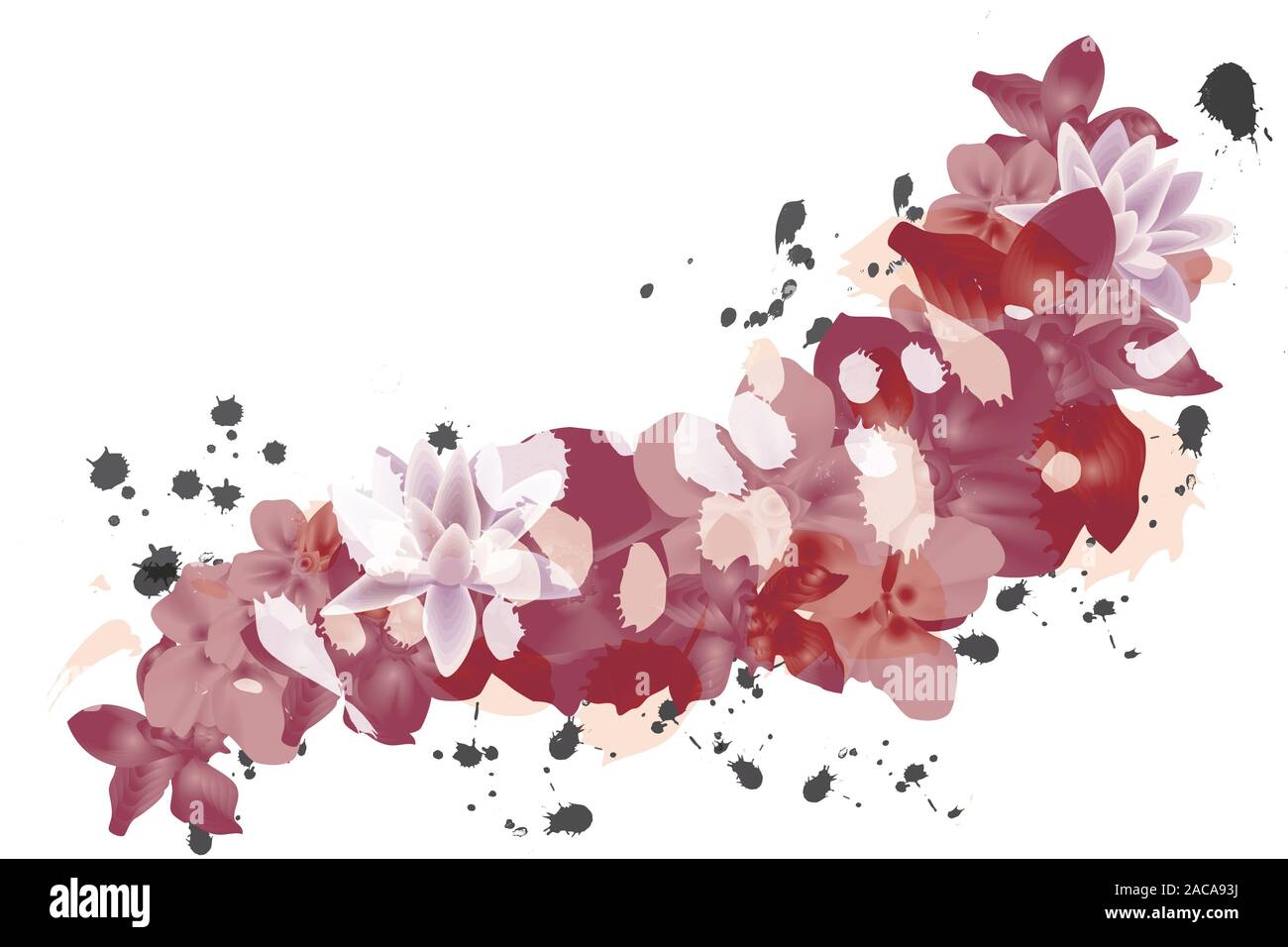 Red ornamental line Cut Out Stock Images & Pictures - Alamy