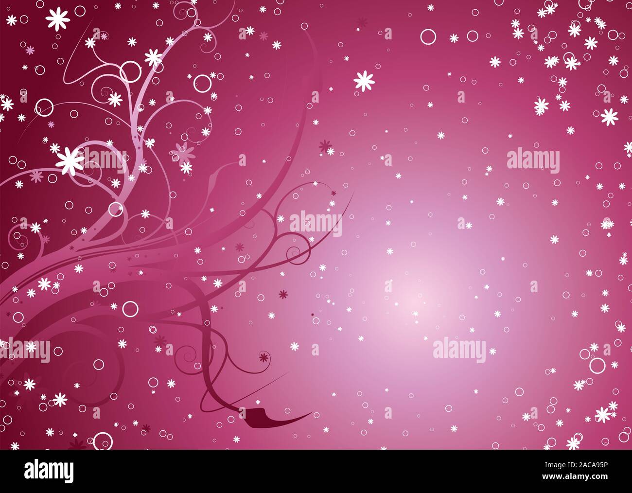 Pink stella floral Stock Photo - Alamy