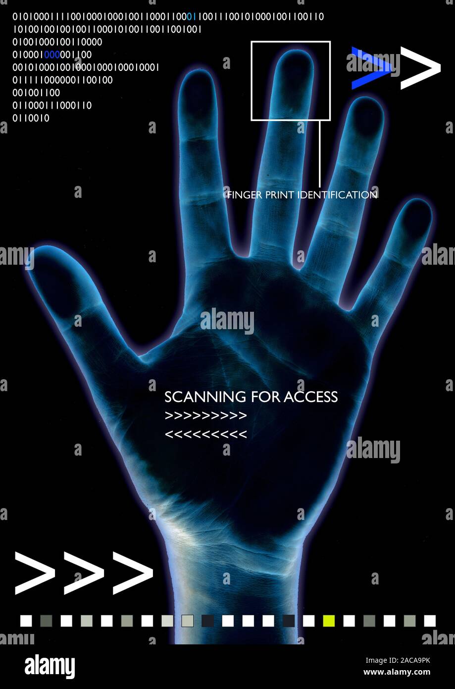 Hand scan verifying hi-res stock photography and images - Alamy