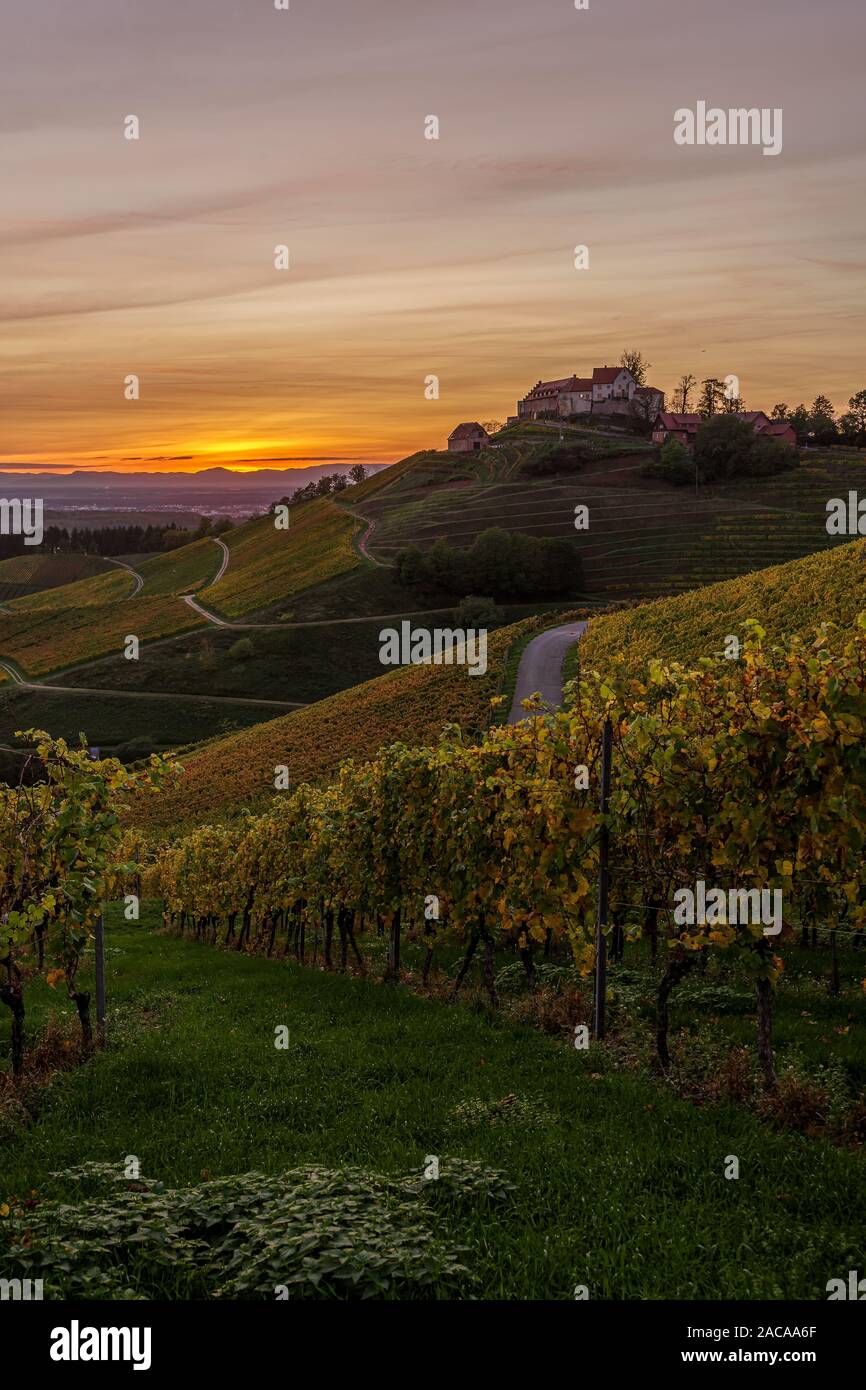 Castle Staufenberg in Durbach Germany in the Black Forest Mountains ...
