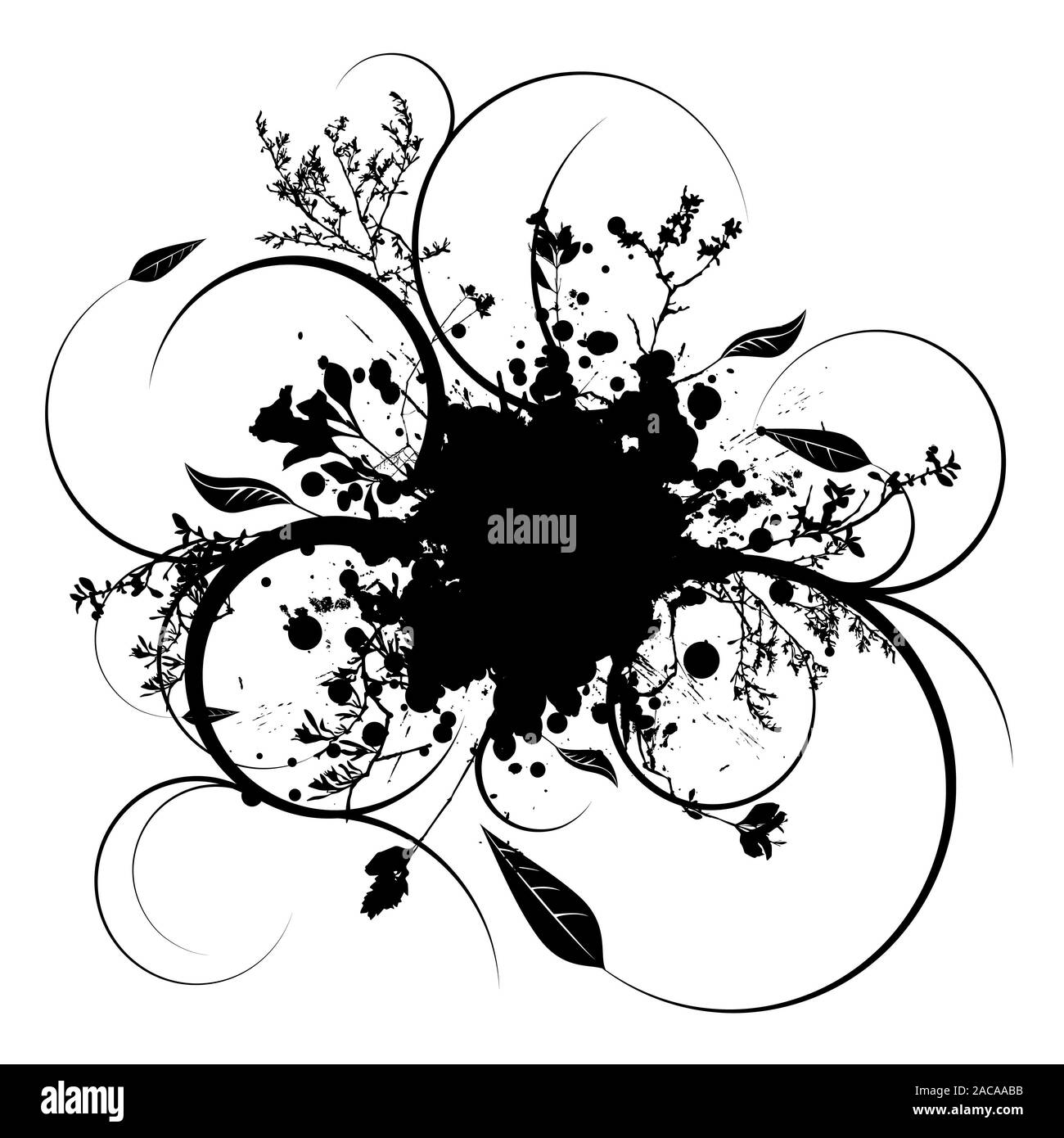 Plant splat hi-res stock photography and images - Alamy