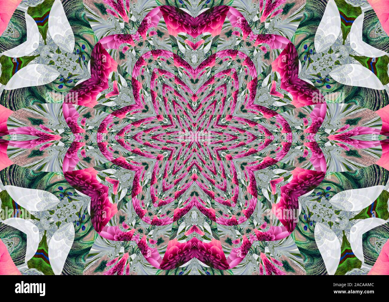 Dahlia Mandala - Vibrant contemporary mandala design incorporating the ...