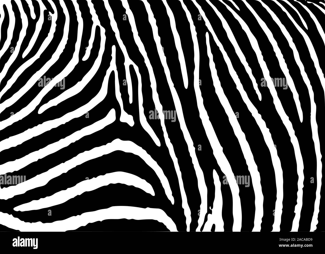 Zebra pattern hi-res stock photography and images - Alamy