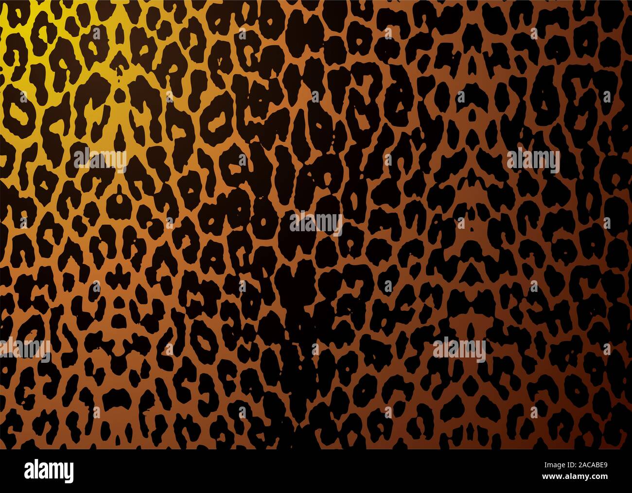 Skin leopard hi-res stock photography and images - Alamy