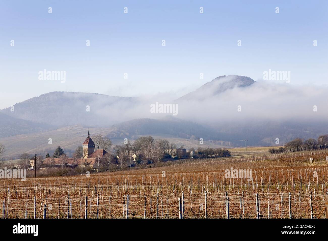 Mist early hi-res stock photography and images - Alamy