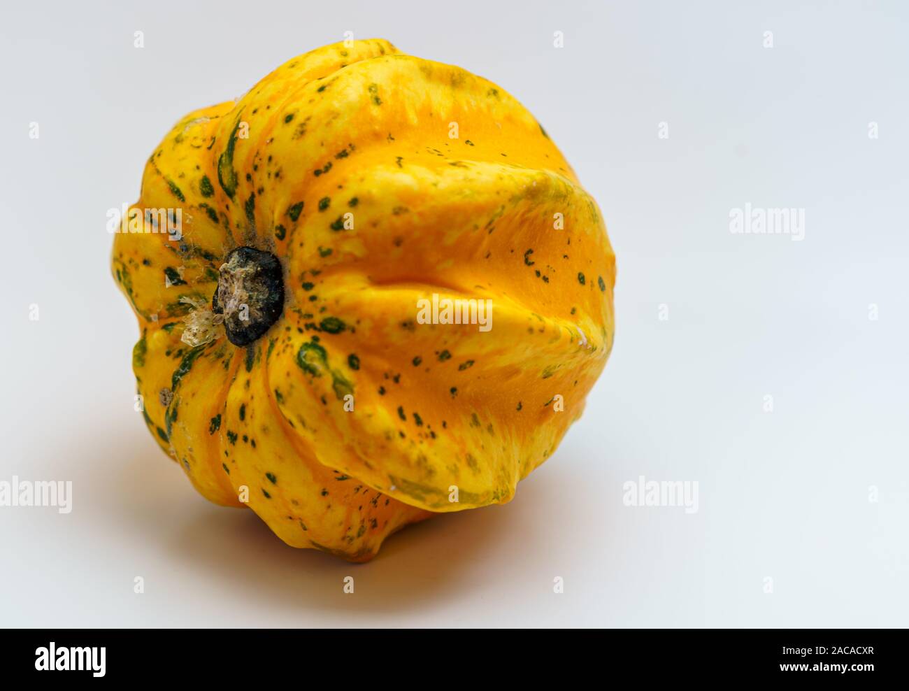 Ornamental pumpkin hi-res stock photography and images - Alamy