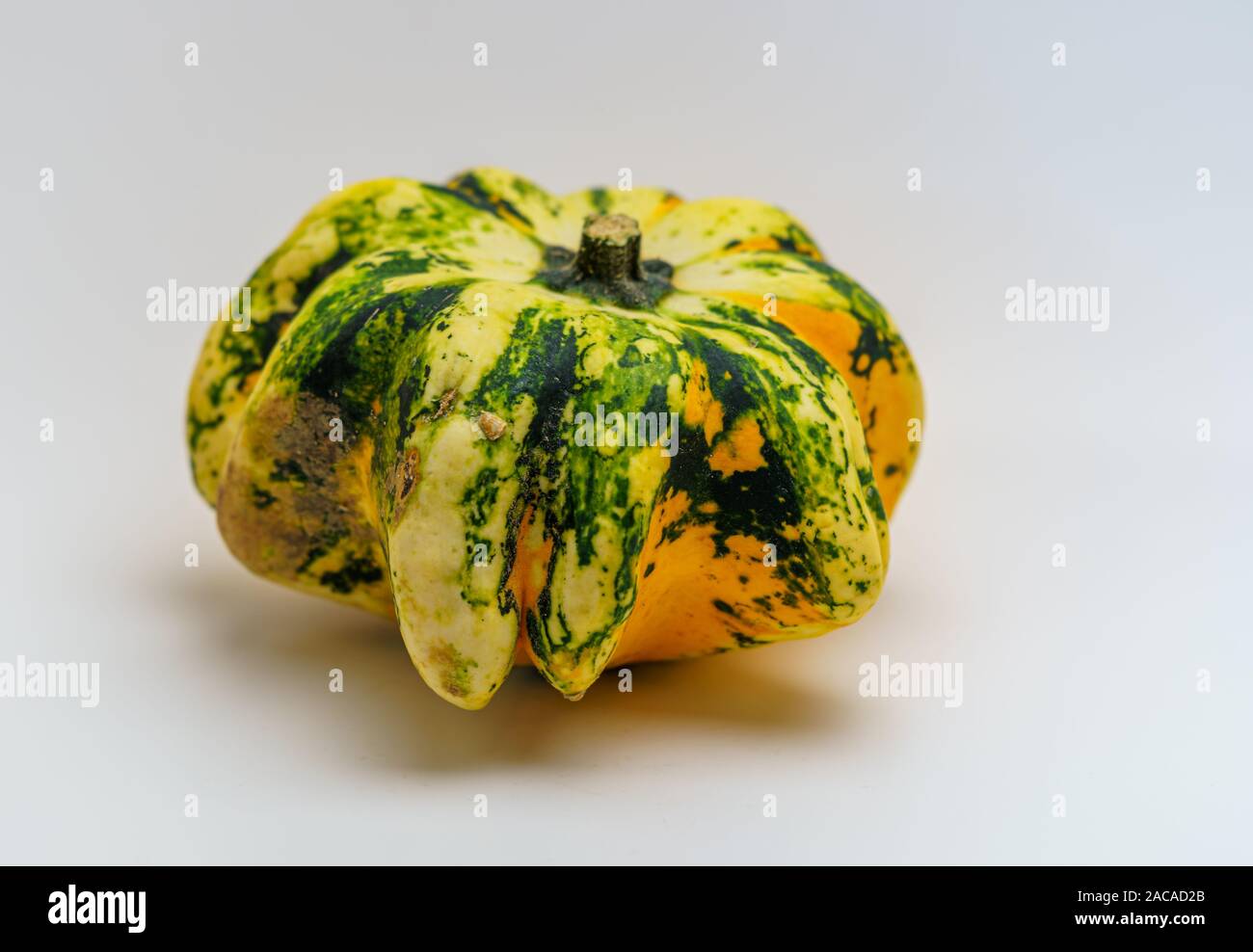 Special ornamental Pumpkin isolated on white ground Stock Photo - Alamy