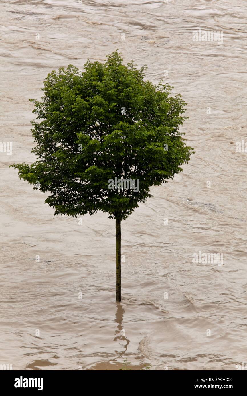 Flooding during floods after rainfall Stock Photo - Alamy