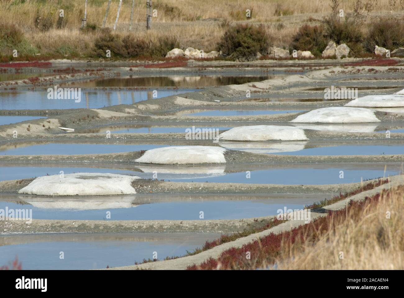 Salt extraction hi-res stock photography and images - Alamy