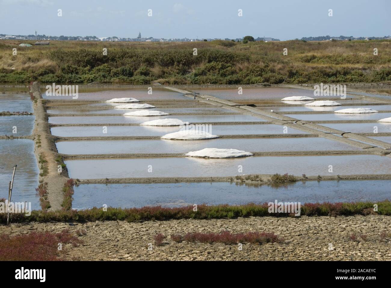 Salt marshes hi-res stock photography and images - Alamy
