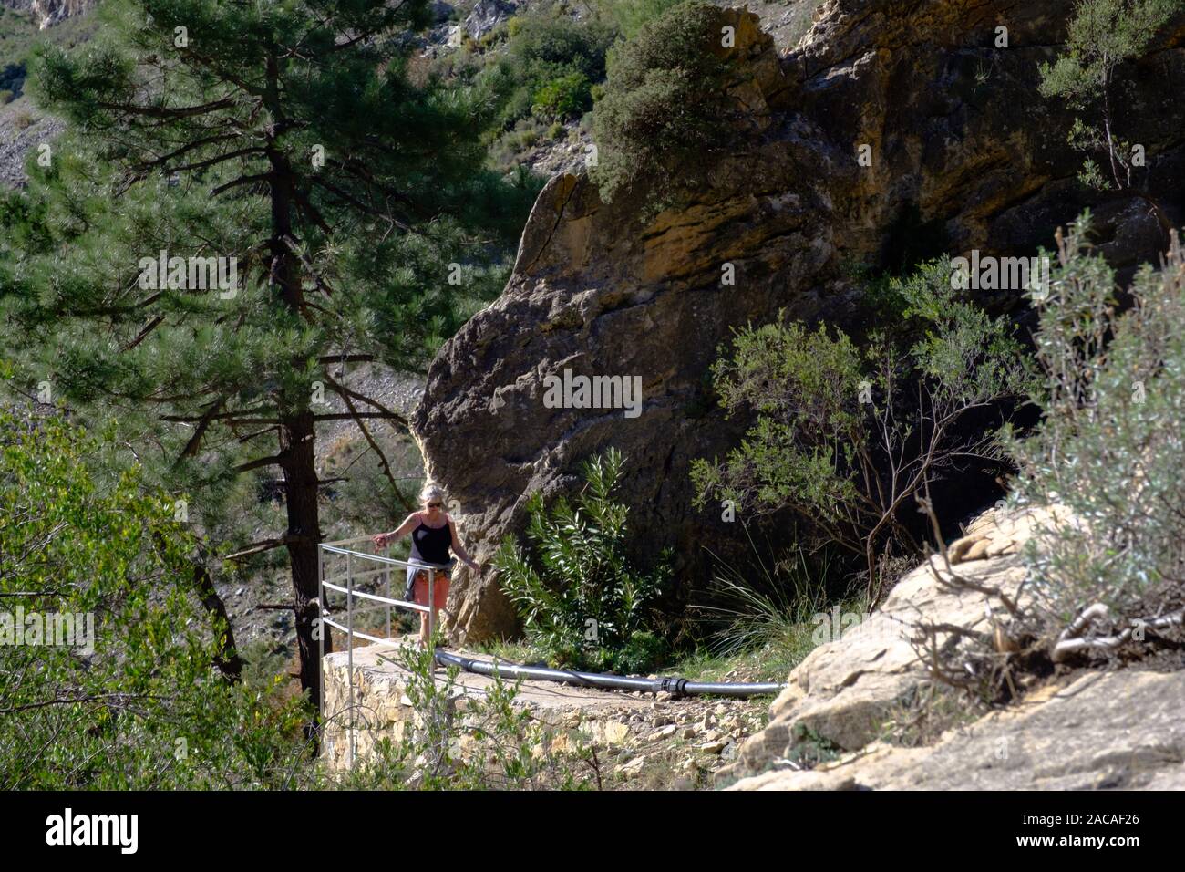 A walk along El Saltillo hiking trail near Canillas de Aceituno ...