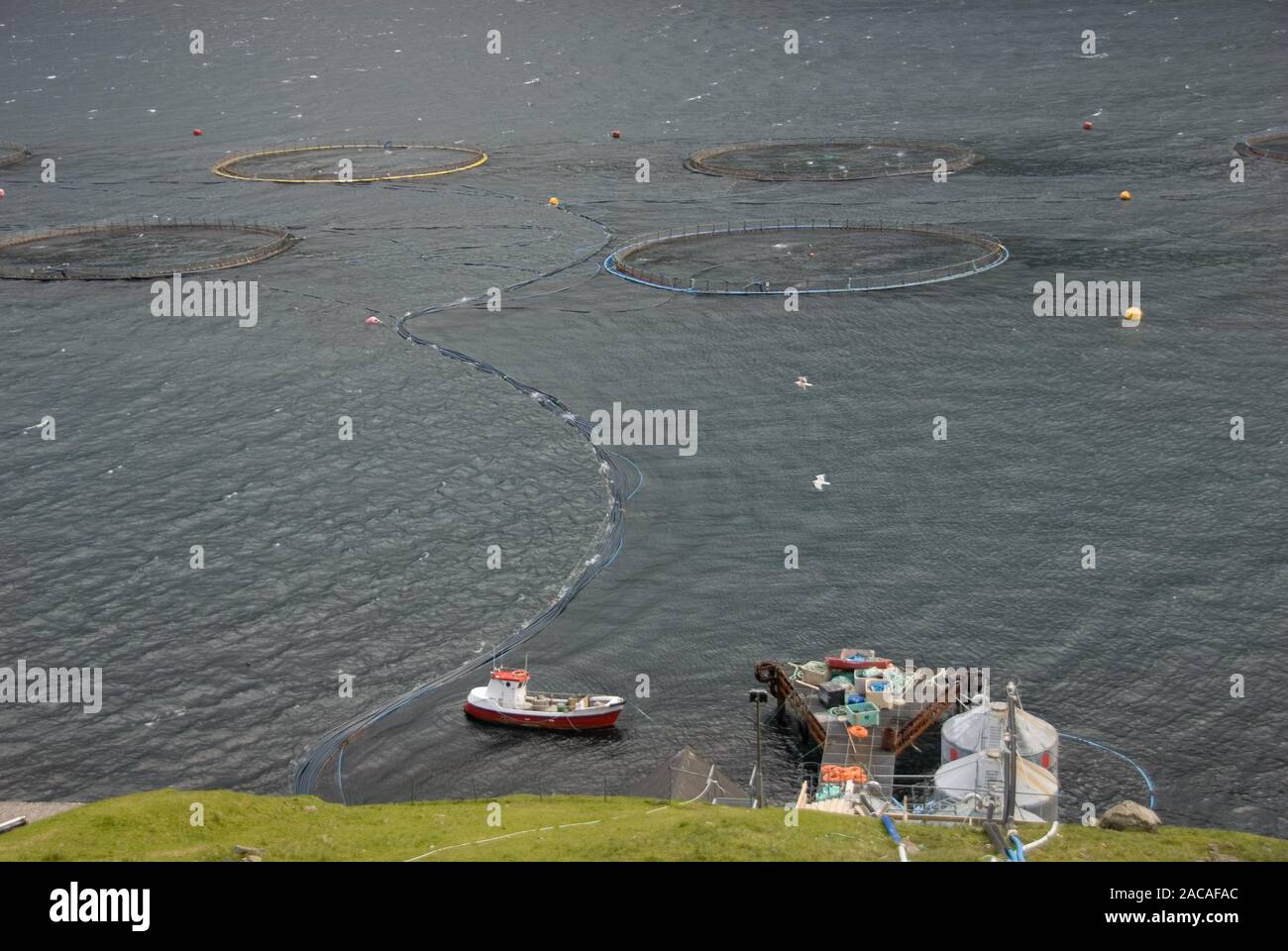 Fish basin hi-res stock photography and images - Alamy