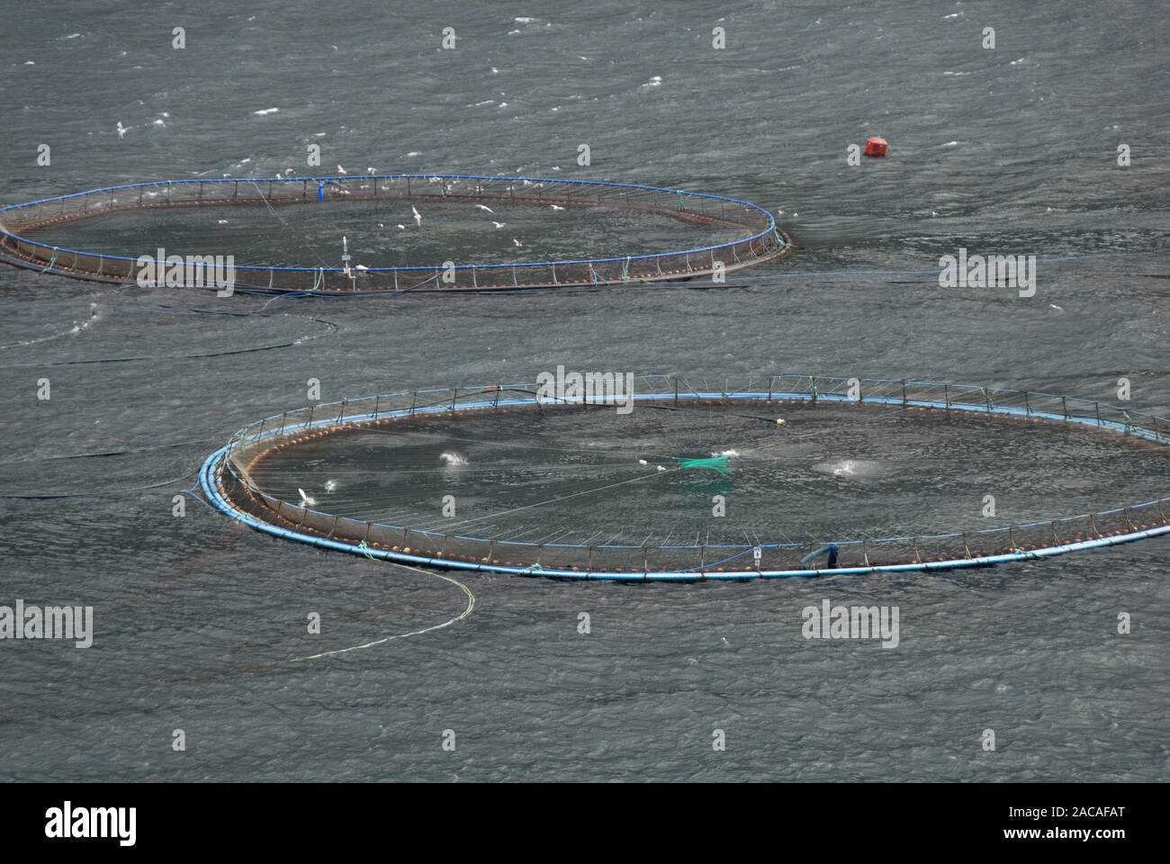 Fish basin hi-res stock photography and images - Alamy