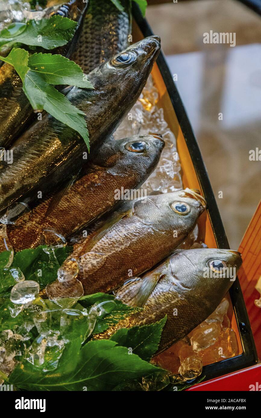 travel in Japan Stock Photo - Alamy