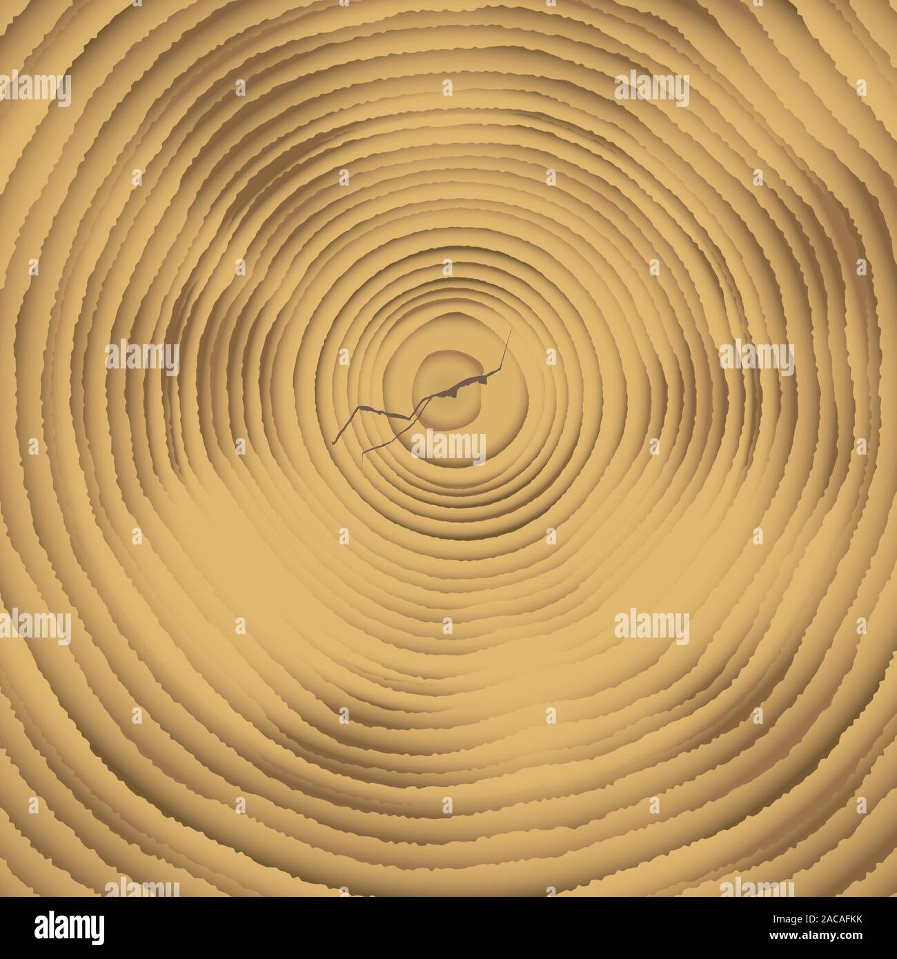 wood cross section Stock Photo - Alamy