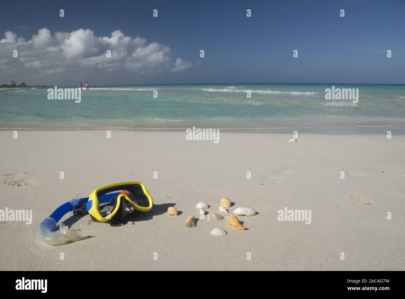 Diving goggles and shells on the beach Stock Photo - Alamy