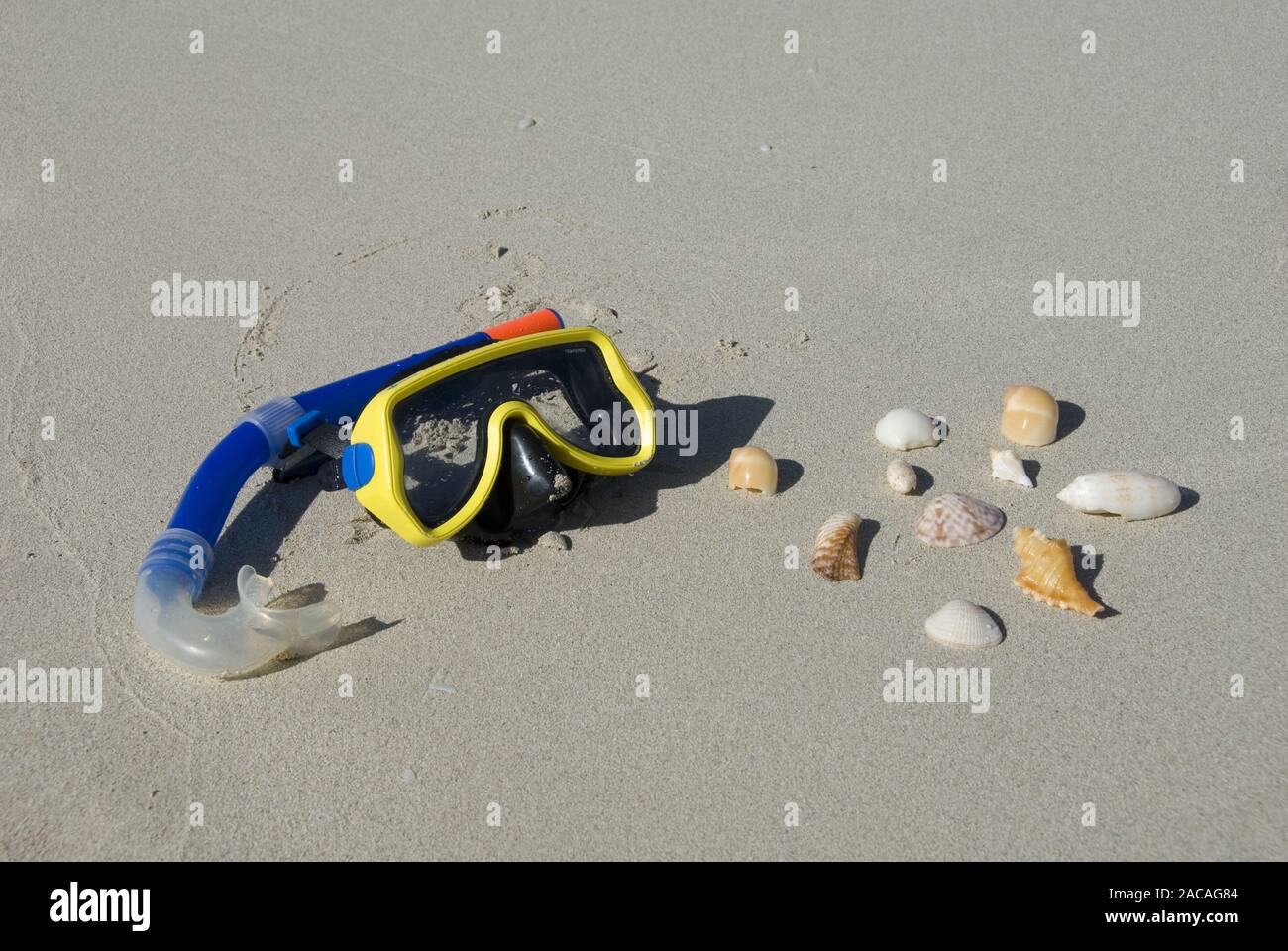 Diving goggles and shells on the beach Stock Photo - Alamy