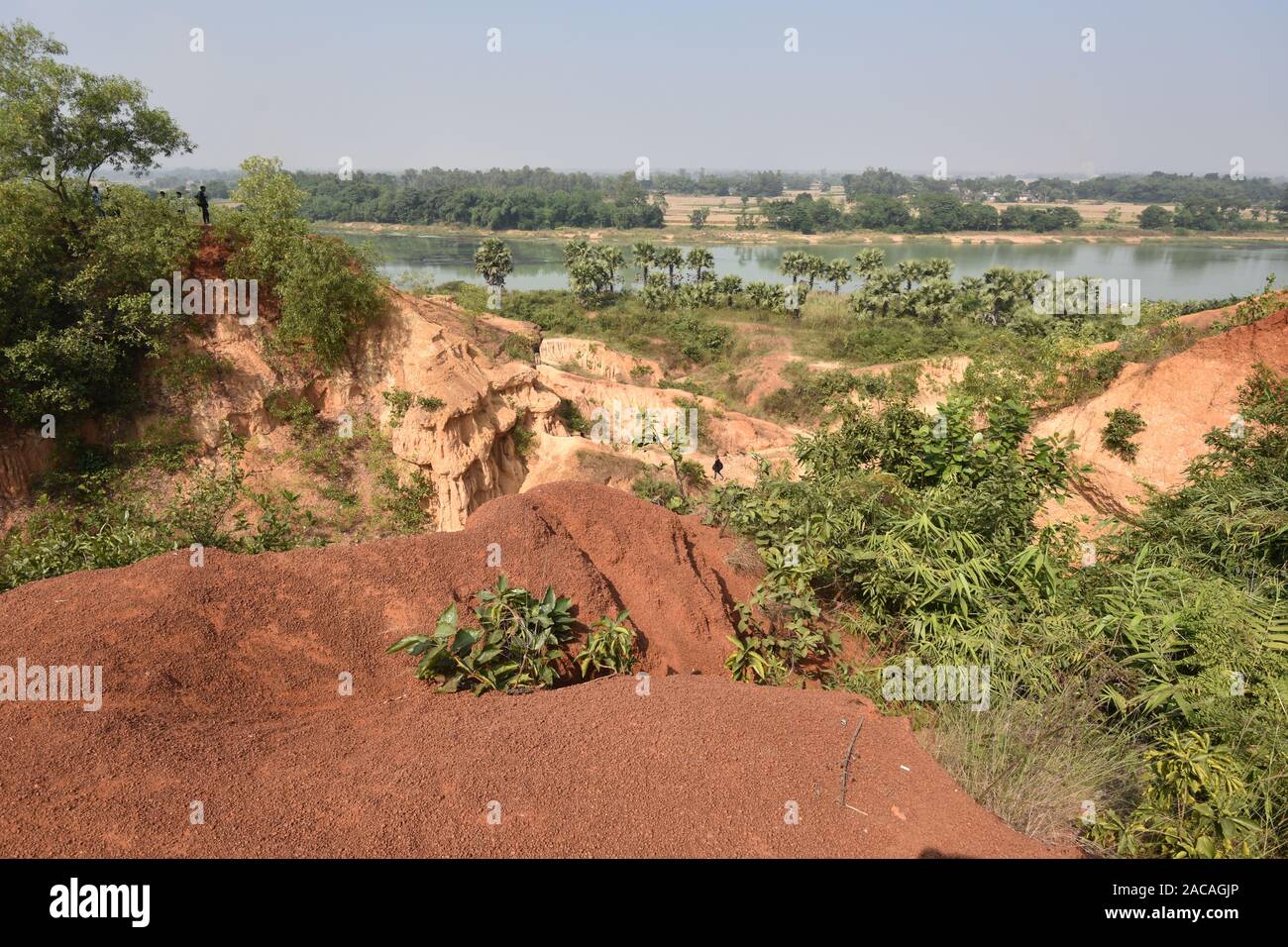 Gangani ravines at the bank of the river Shilabati or Shilai in Garbeta ...