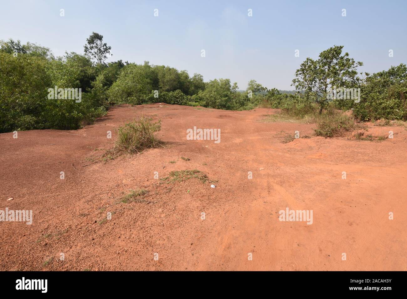 Gangani ravines at the bank of the river Shilabati or Shilai in Garbeta ...