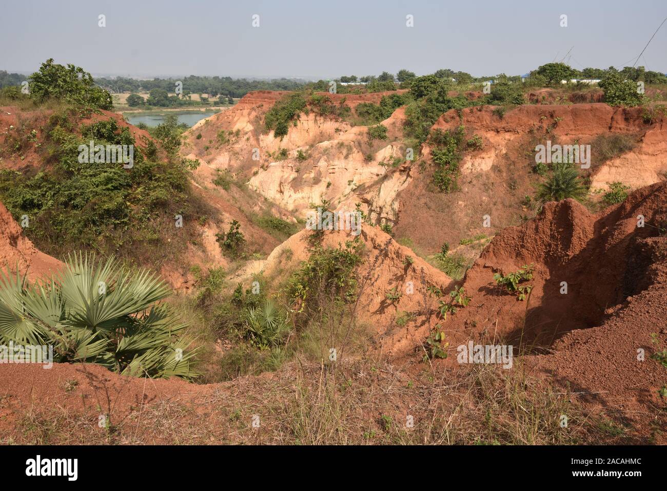 Gangani ravines at the bank of the river Shilabati or Shilai in Garbeta ...