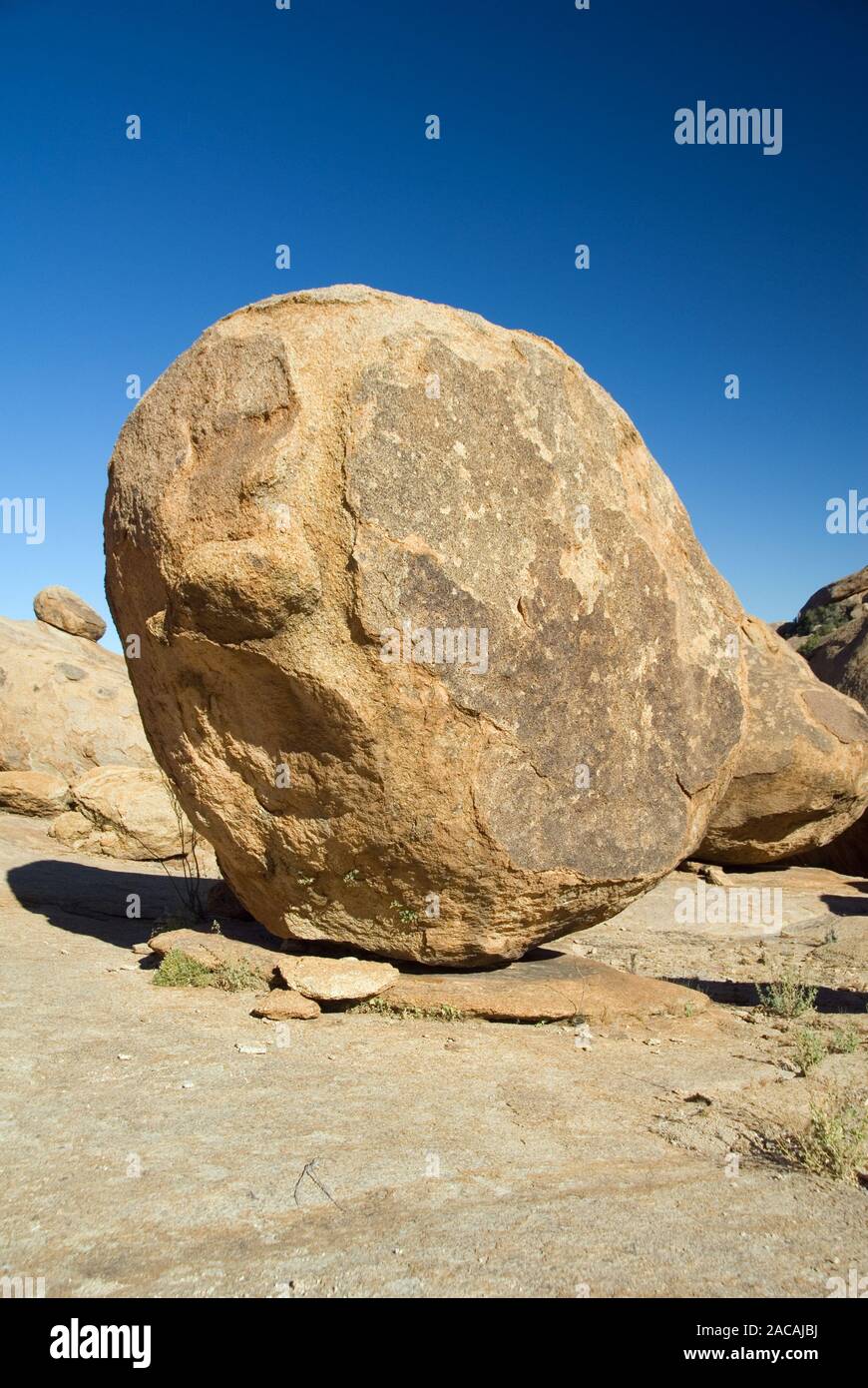 Bulls balls hi-res stock photography and images - Alamy