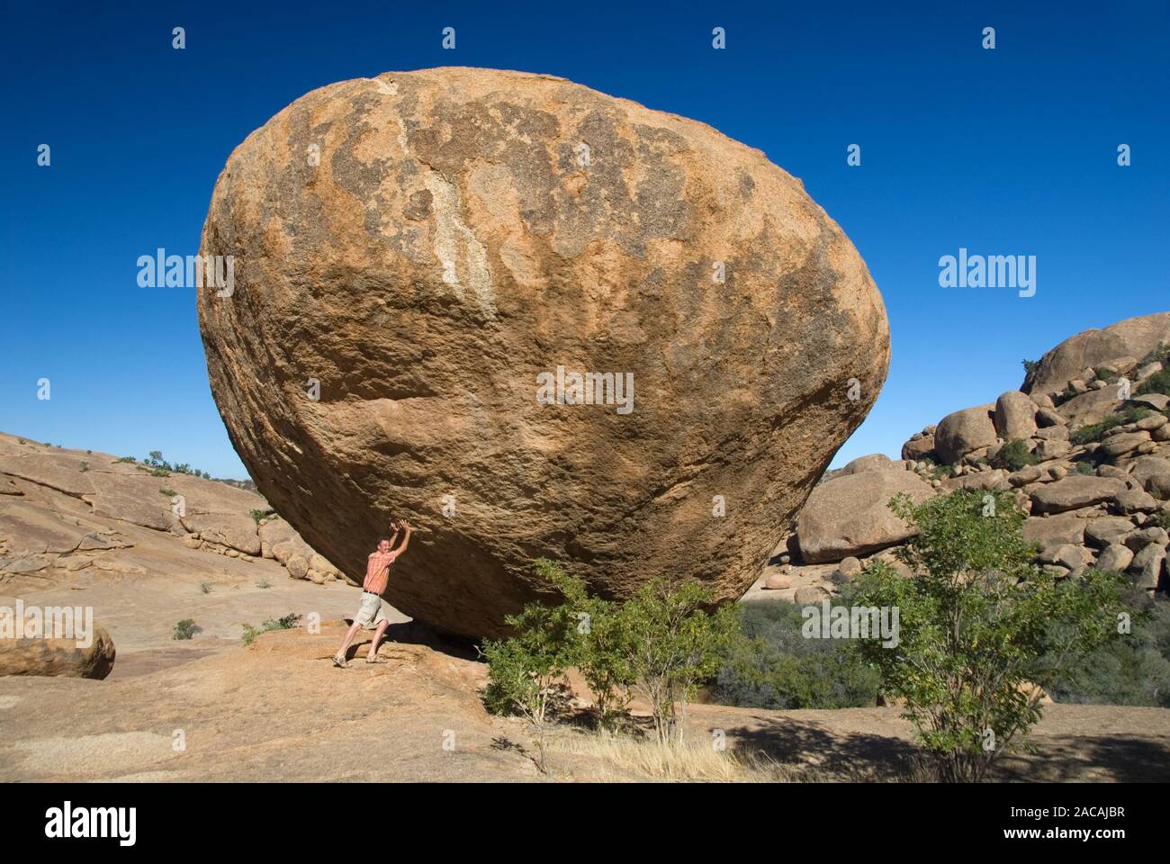 Bulls balls hi-res stock photography and images - Alamy