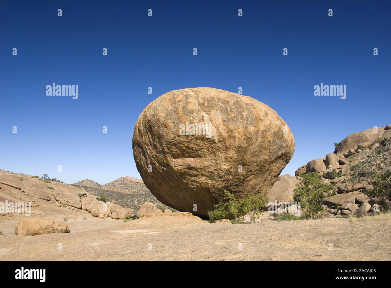Bulls balls hi-res stock photography and images - Alamy