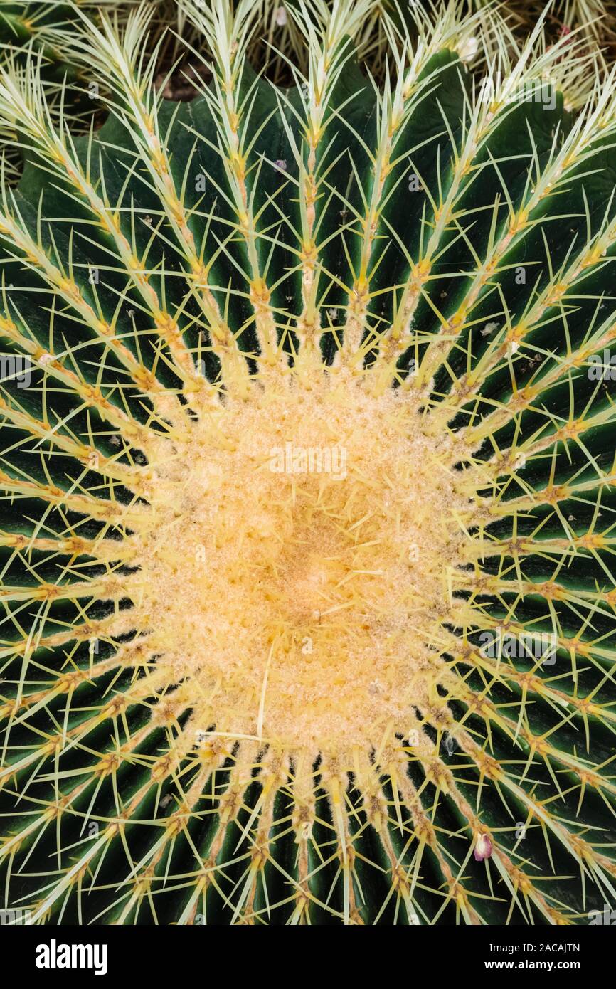 England, London, Richmond, Royal Botanic Gardens Kew, The Princess of ...