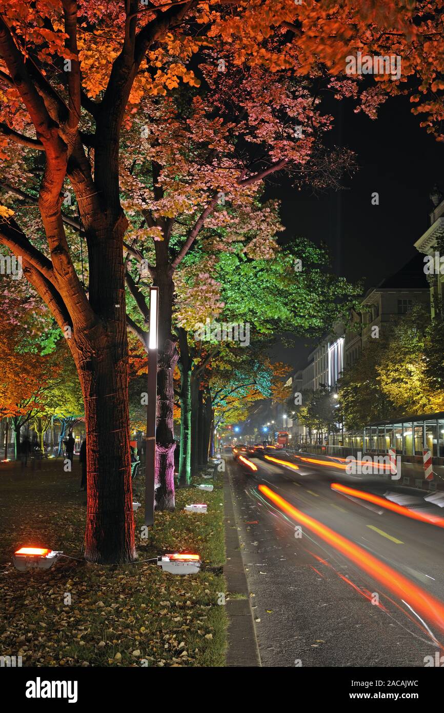 colorfully illuminated Linden trees, Linden , Tilia, Strasse unter den ...