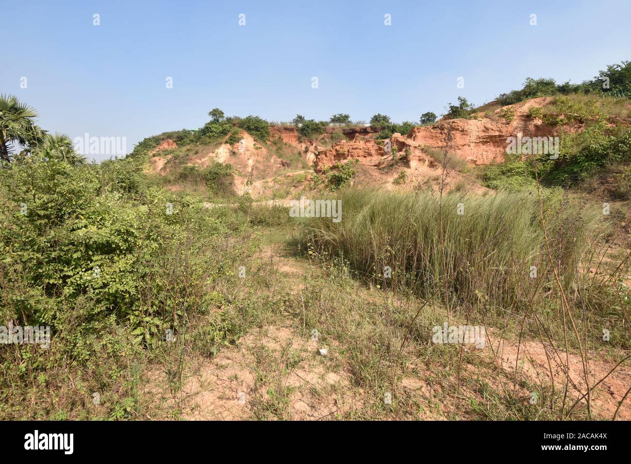 Gangani ravines at the bank of the river Shilabati or Shilai in Garbeta ...