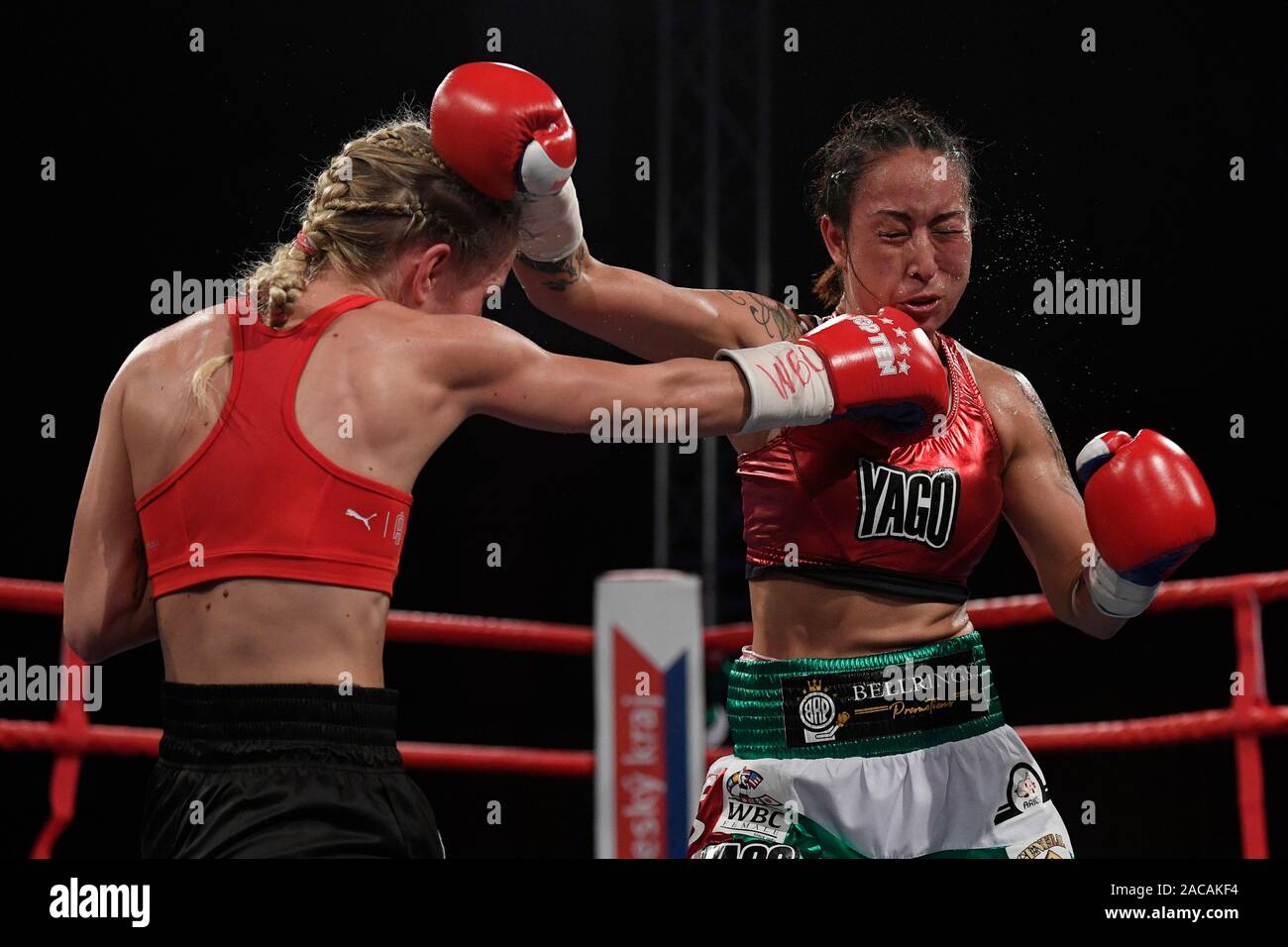 Kladno, Czech Republic. 30th Nov, 2019. Czech professional boxer ...